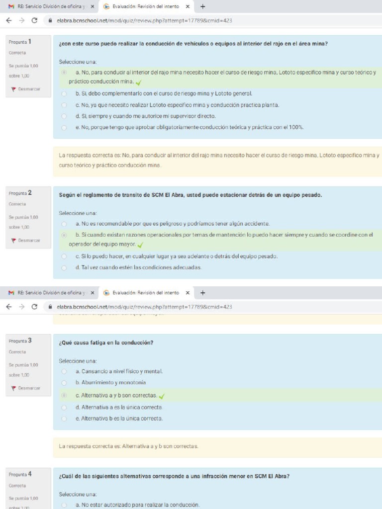Prueba Induccion El Abra 1 | PDF