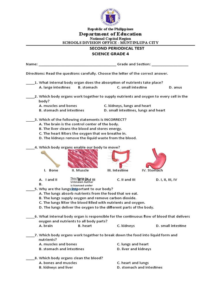 Grade 4 Science 2nd Quarter Test | PDF | Pupa | Blood