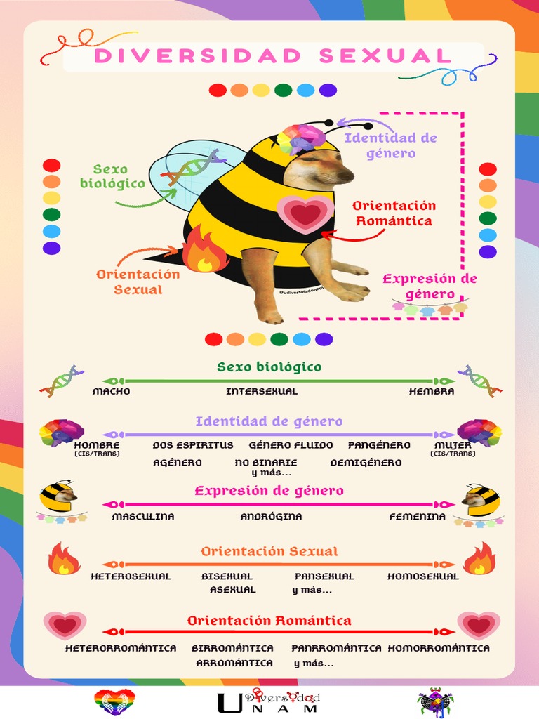 Cheems Diversidad | PDF