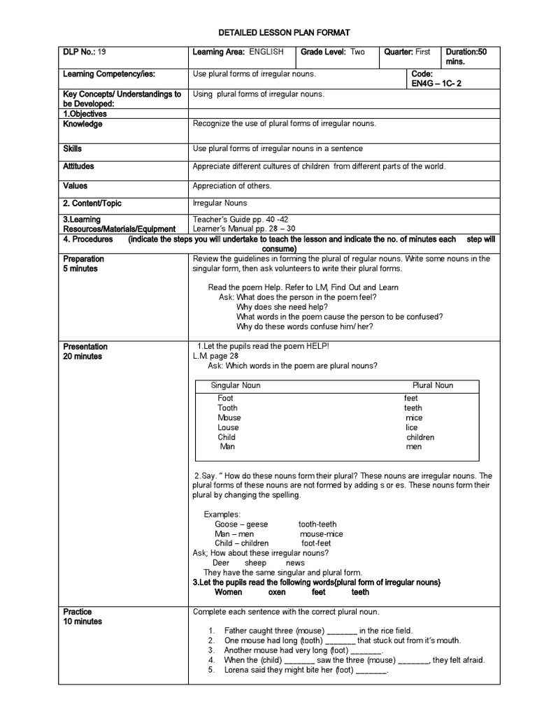 Lesson Plan ENGLISH | PDF | Plural | Learning
