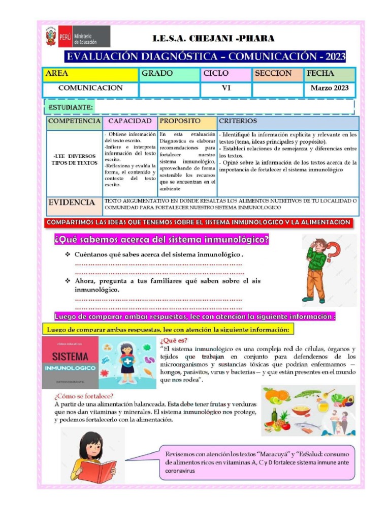 1ro y 2do Diagnostica | PDF