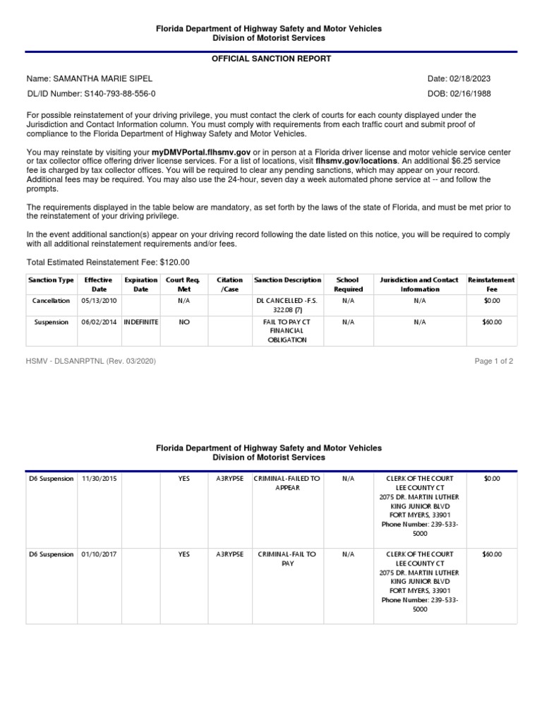 Sanction Report | Download Free PDF | Driver's License | Transport