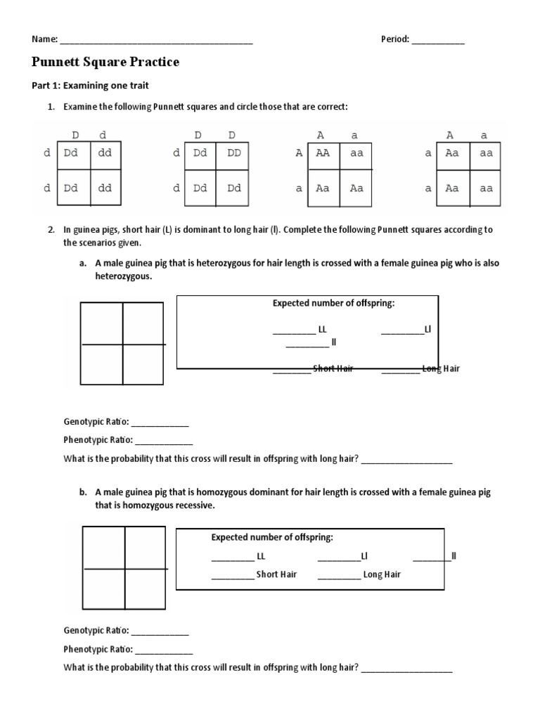 Punnett Square Practice: Part 1: Examining One Trait | PDF
