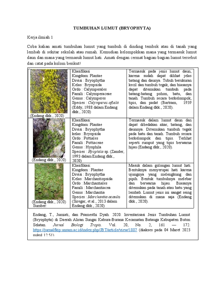 Klasifikasi Tumbuhan Lumut Bryophyta | PDF | Sains & Matematika
