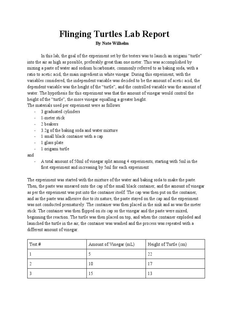 Lab Report | PDF | Sodium Bicarbonate | Experiment