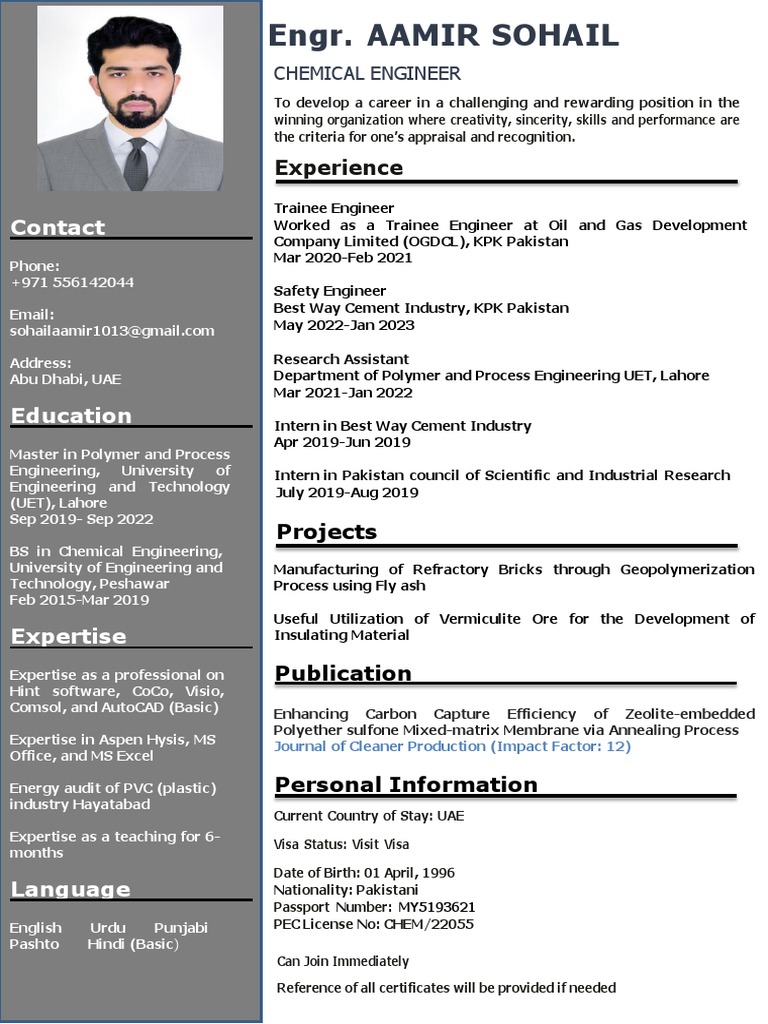 Aamir CV (A Chemical Engineer) Old | PDF | Materials | Physical Sciences