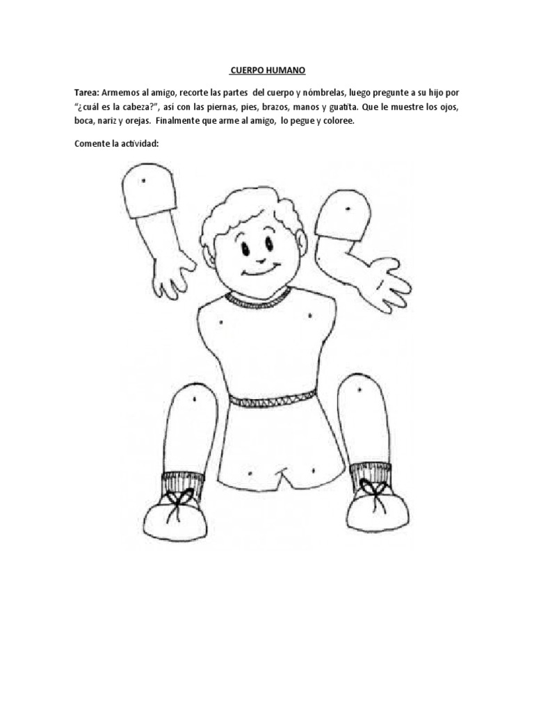 Actividad Cuerpo Humano Pdf