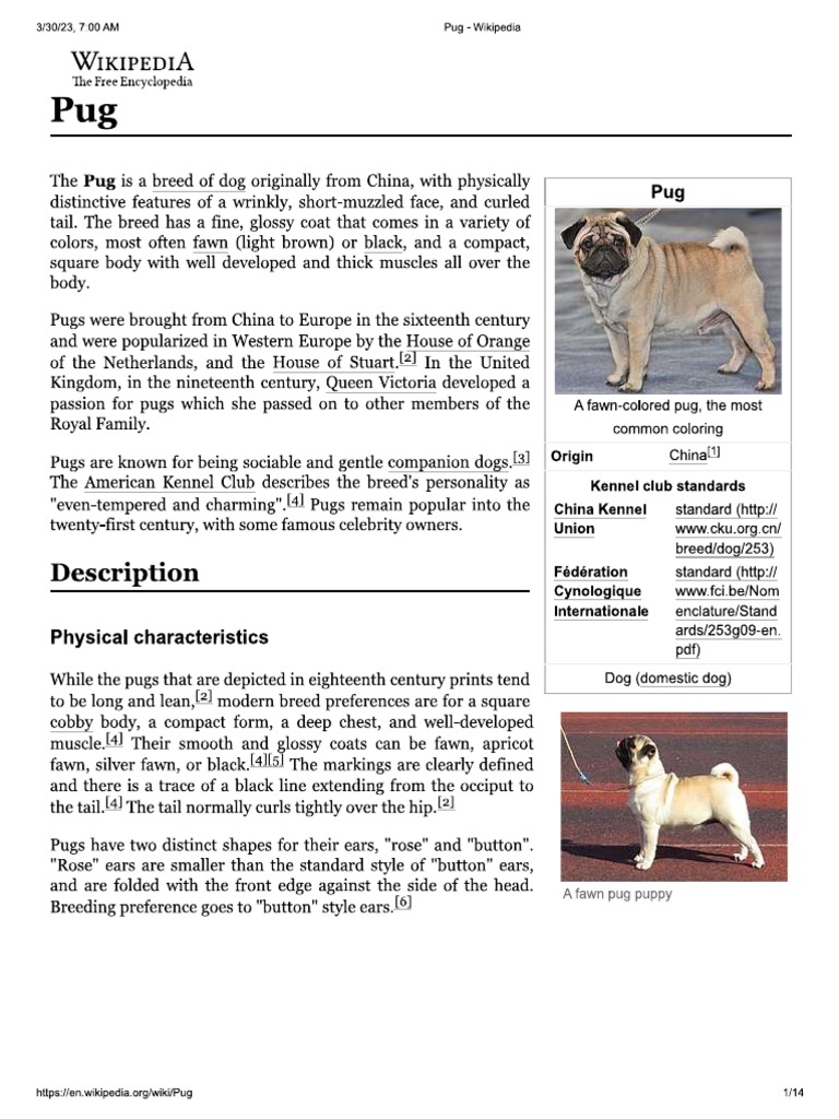 Pug | PDF