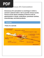 Blood Transfusion Notes-1 | PDF