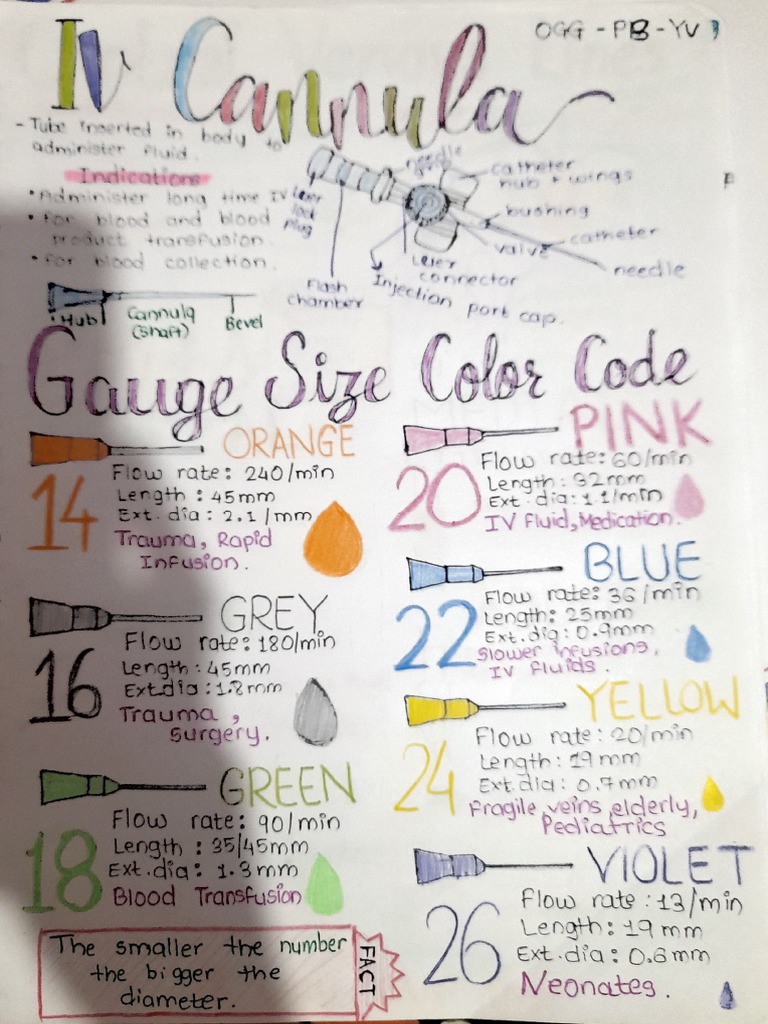 IV Notes | PDF | Clinical Medicine | Medical Specialties