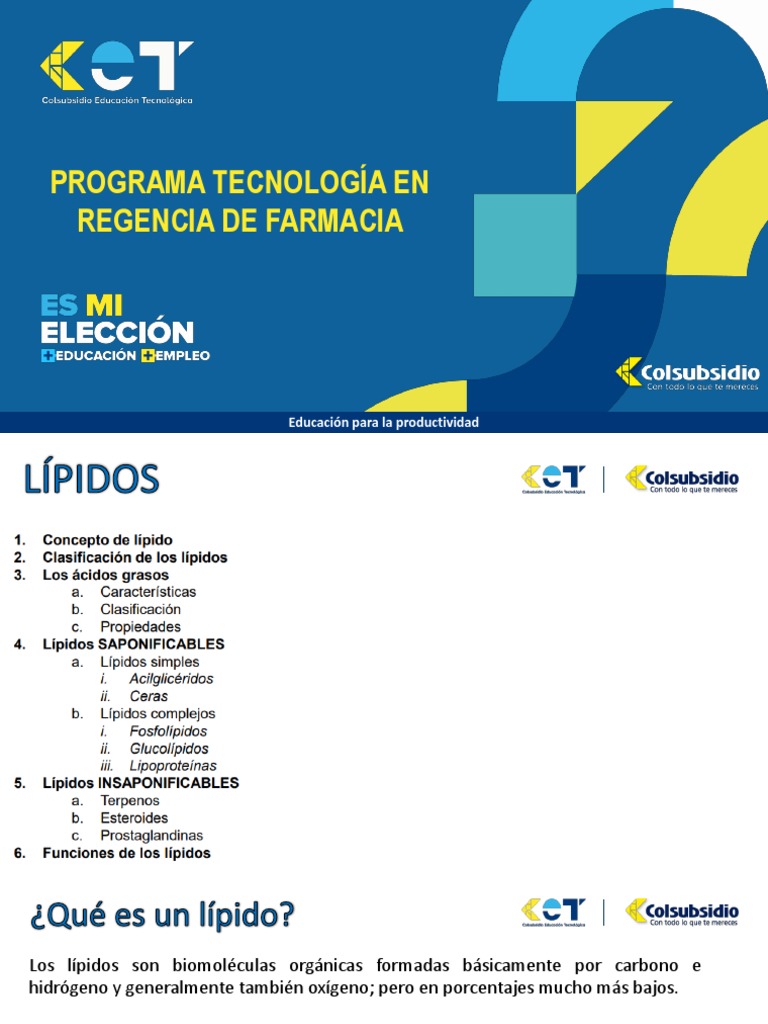 Lípidos | PDF | Lípido | Ácido graso