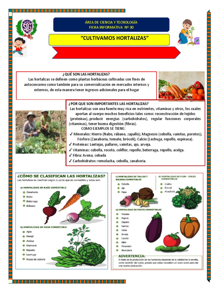 Tabla De Cultivo De Hortalizas Según Los Requisitos De Sol Cuidado De