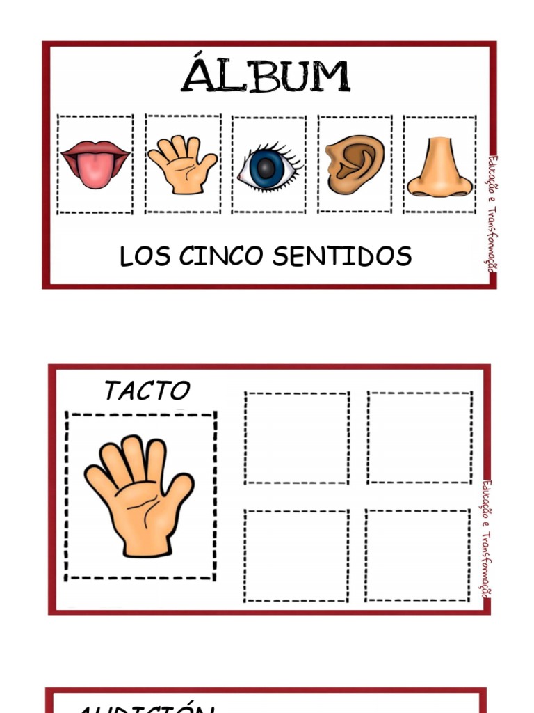 Album Los 5 Sentidos Kinder | PDF
