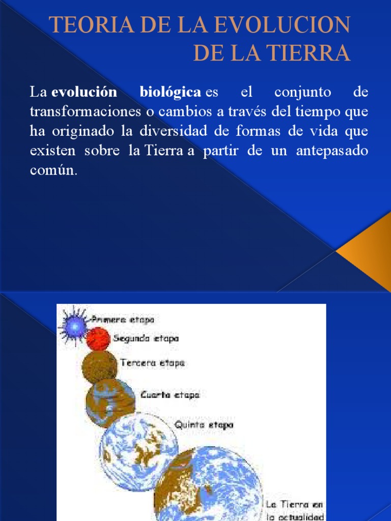 La evolución de la vida en la Tierra: evidencias del proceso evolutivo desde los primeros ...