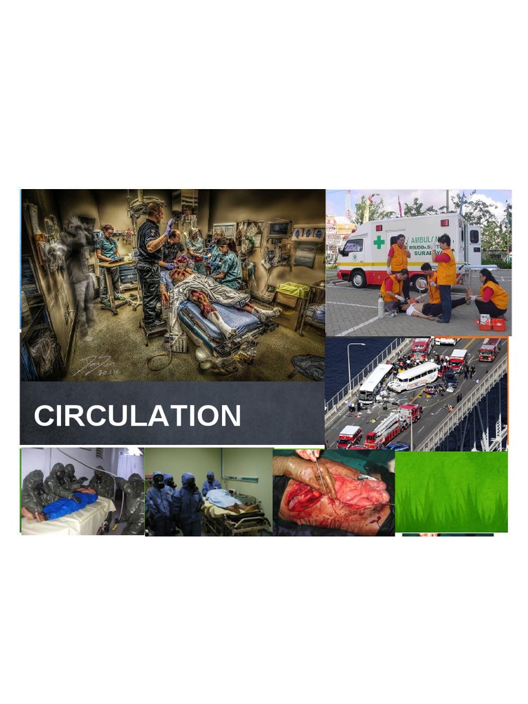 Circulation | PDF