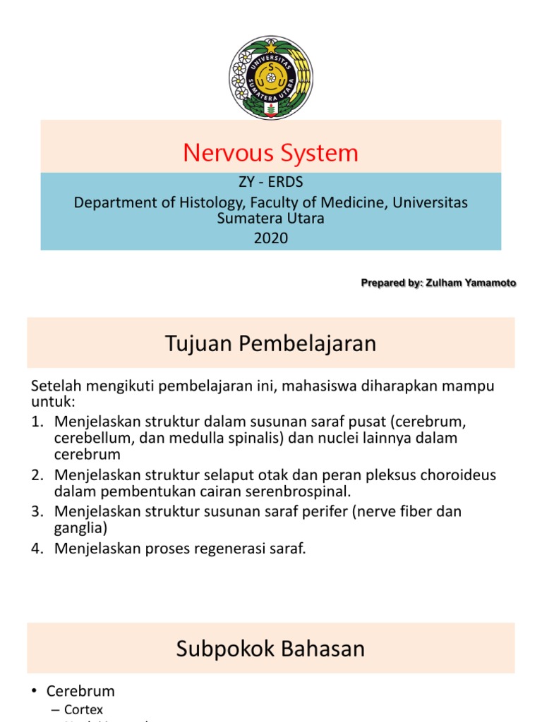 H 1.1 Histologi Jaringan Dan Sistem Saraf (Nervous System) | PDF | Axon ...