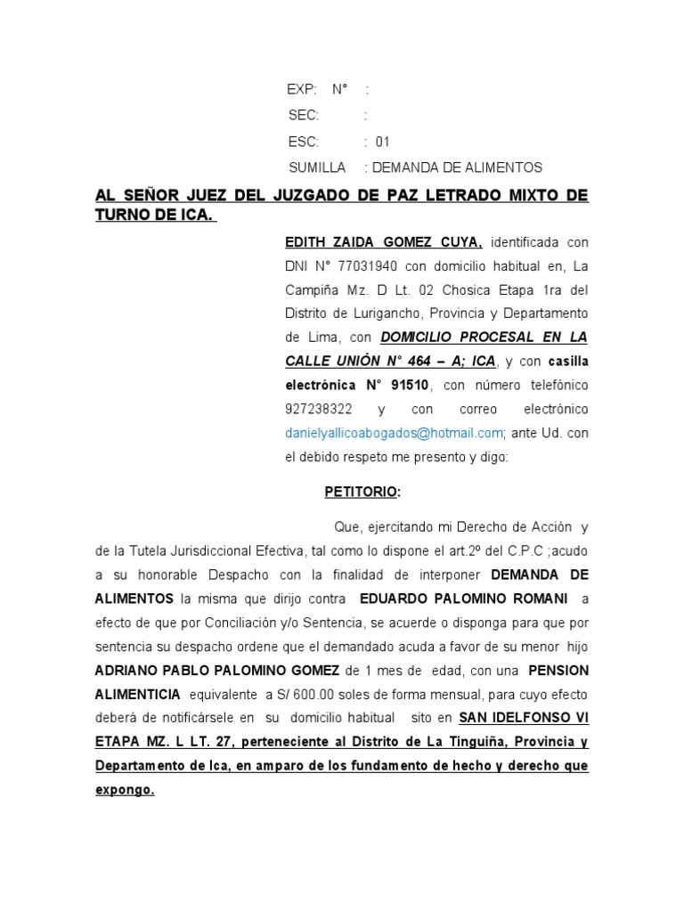 Demanda de Alimentos Edith Zaida Gomez | PDF | Pensión alimenticia | Parto