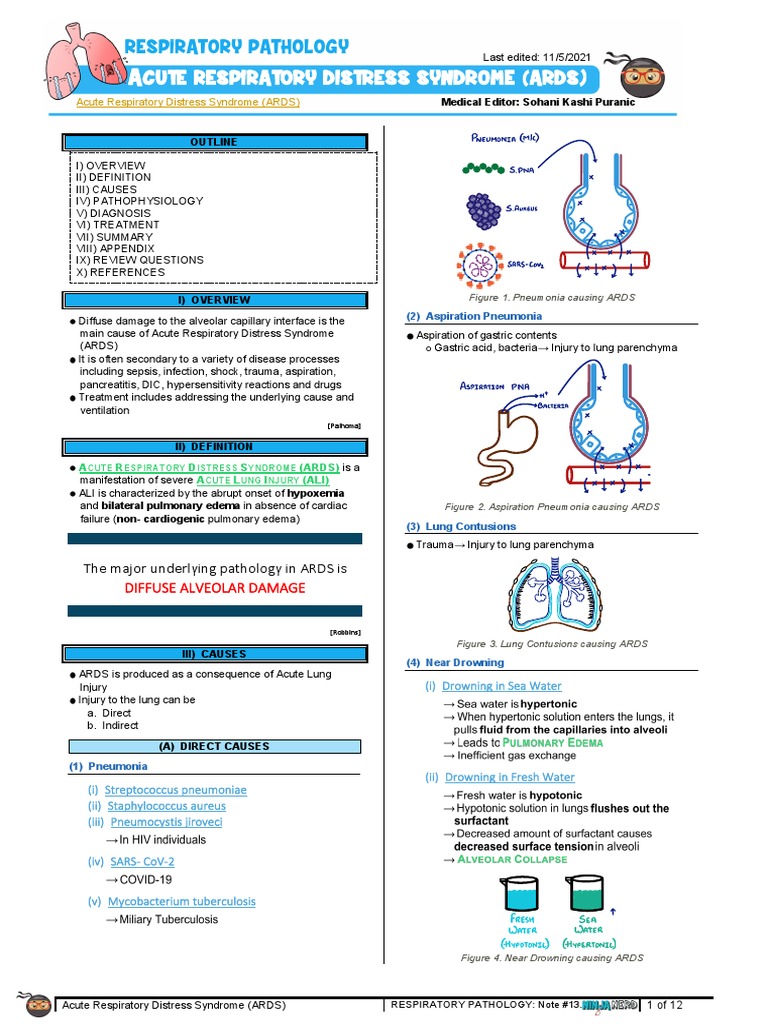 Understanding the Pathophysiology of Acute Respiratory Distress ...