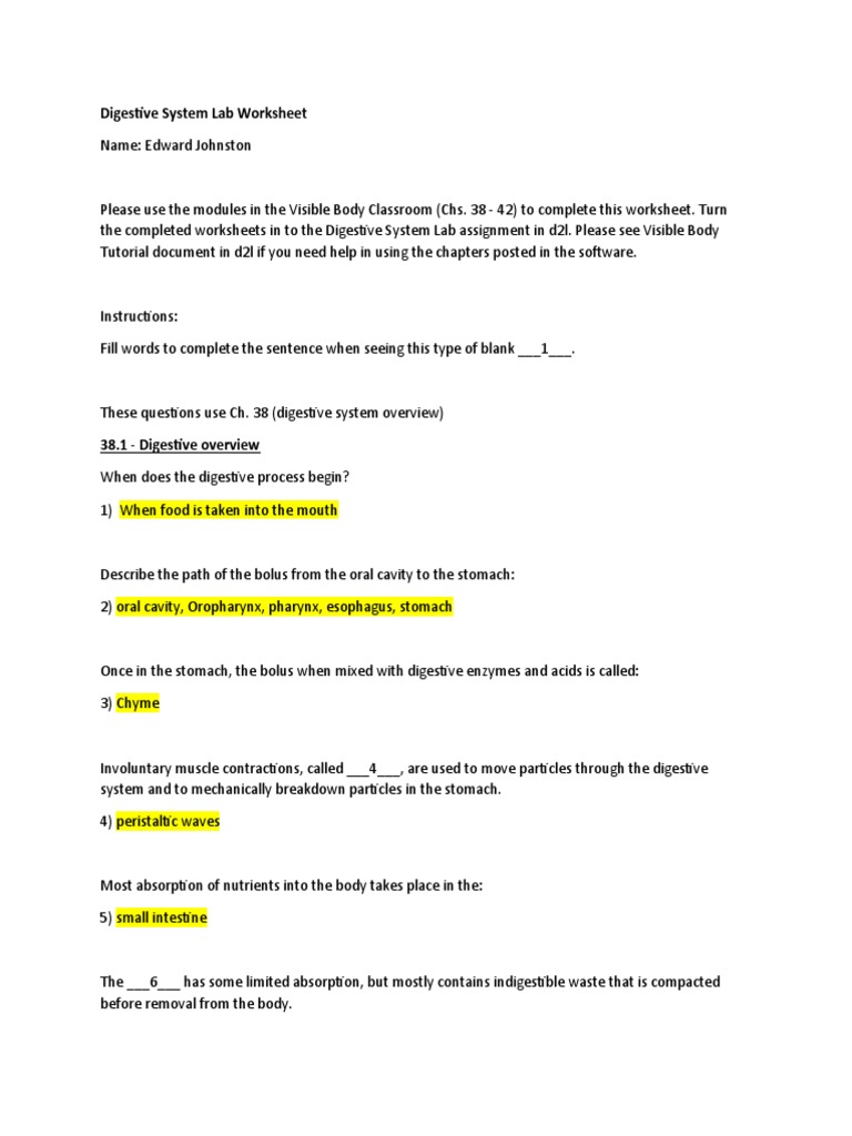 Digestive Sys Lab Worksheet | PDF | Stomach | Liver