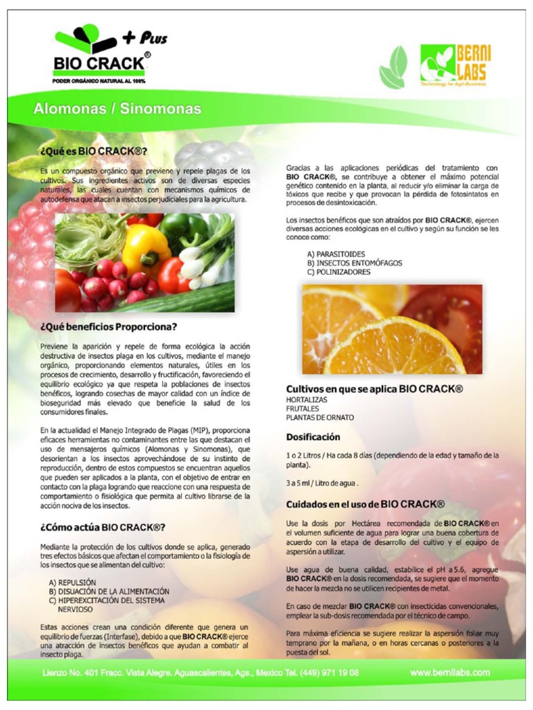 Biocrack | PDF