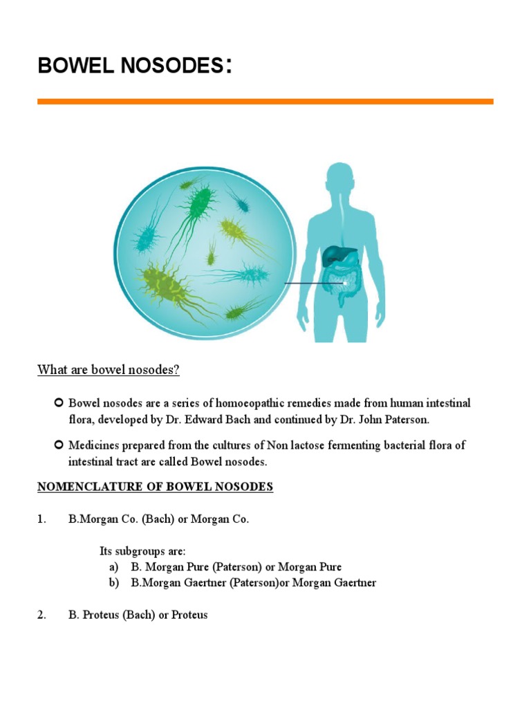 Bowel Nosodes: An In-Depth Exploration of Morgan Co. and its Subgroups ...