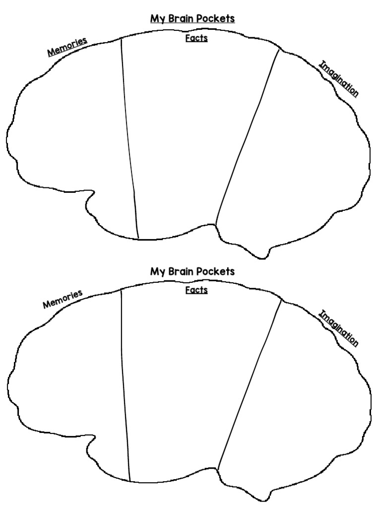 Brain Pockets: Facts & Imagination | PDF