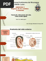 Otoscopia Normal | PDF | Oído | Anatomía