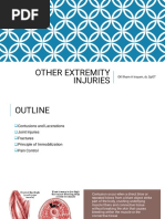 TOTAPS | PDF | Pain | Medicine