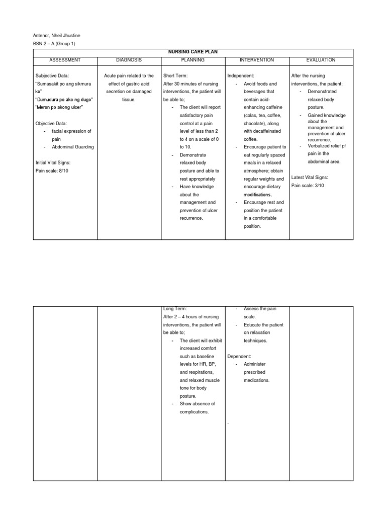 Nursing Care Plan | PDF | Pain | Nursing