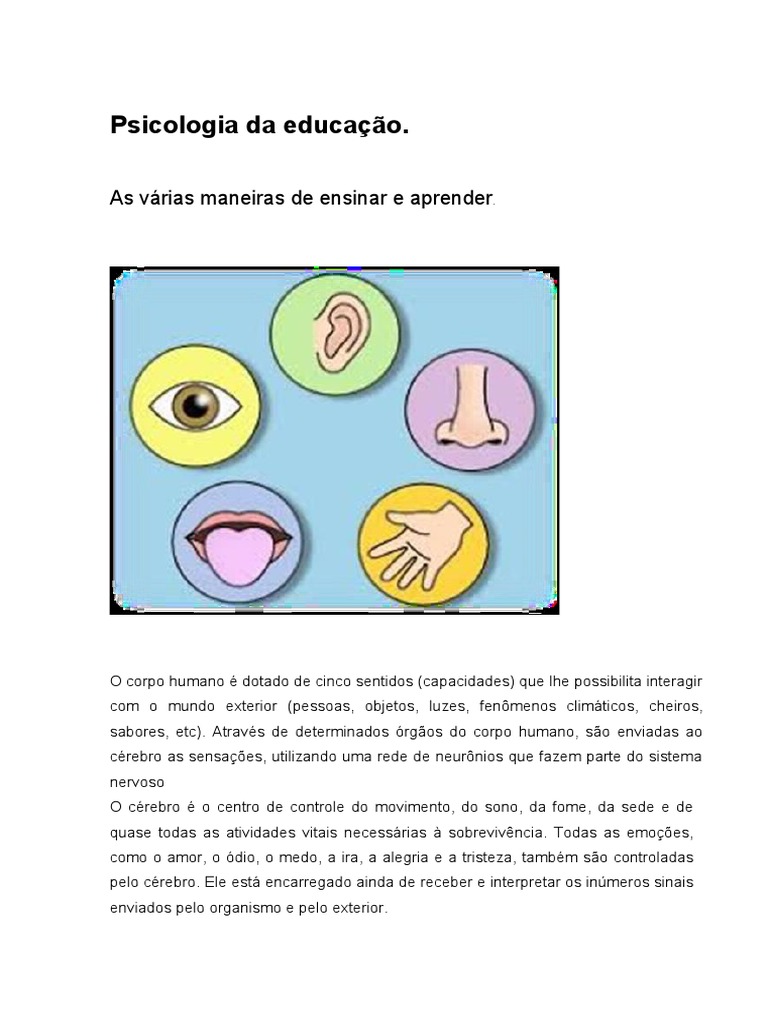 Memoria E Associações Aulas 2023 Pdf Memória Aprendizado