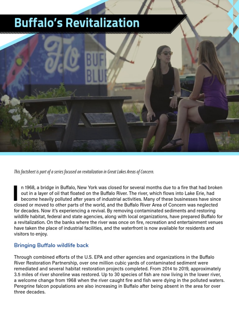 2023 AOC Factsheets Buffalo | PDF | Buffalo | River