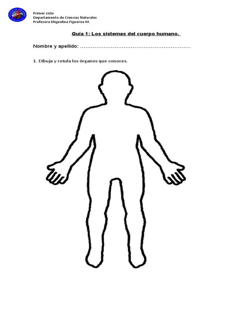 Guia N°1 - U 1 Partes Del Cuerpo | PDF