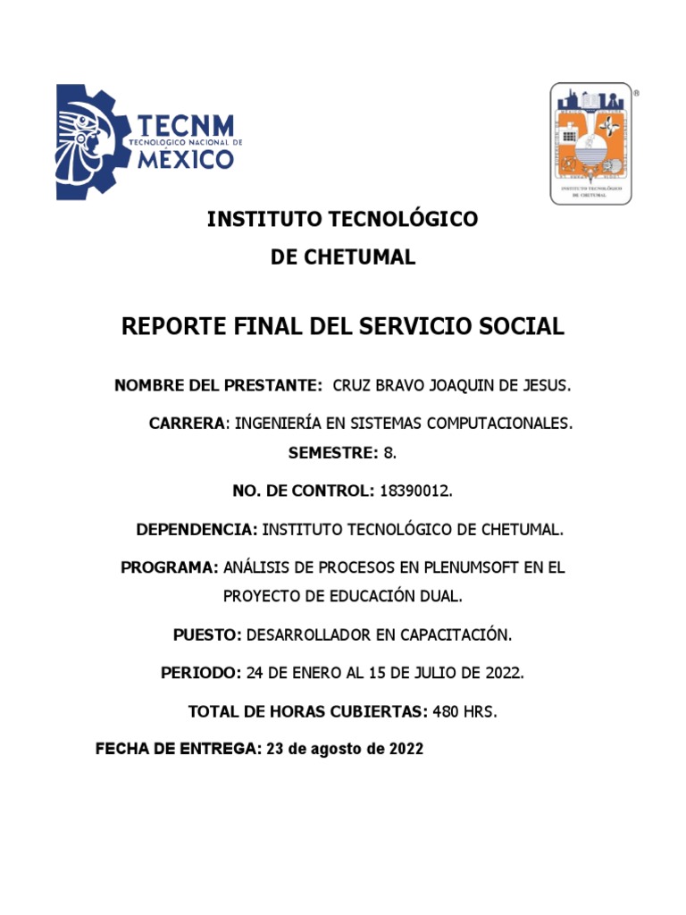 Portada Reporte Final de Servicio Social | PDF | Negocios | Informática