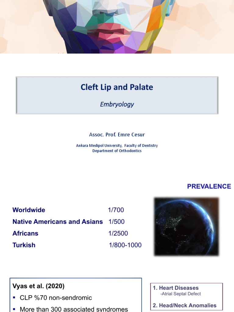 Cleft Lip and Palate: Embryology | PDF | Human Anatomy | Anatomy