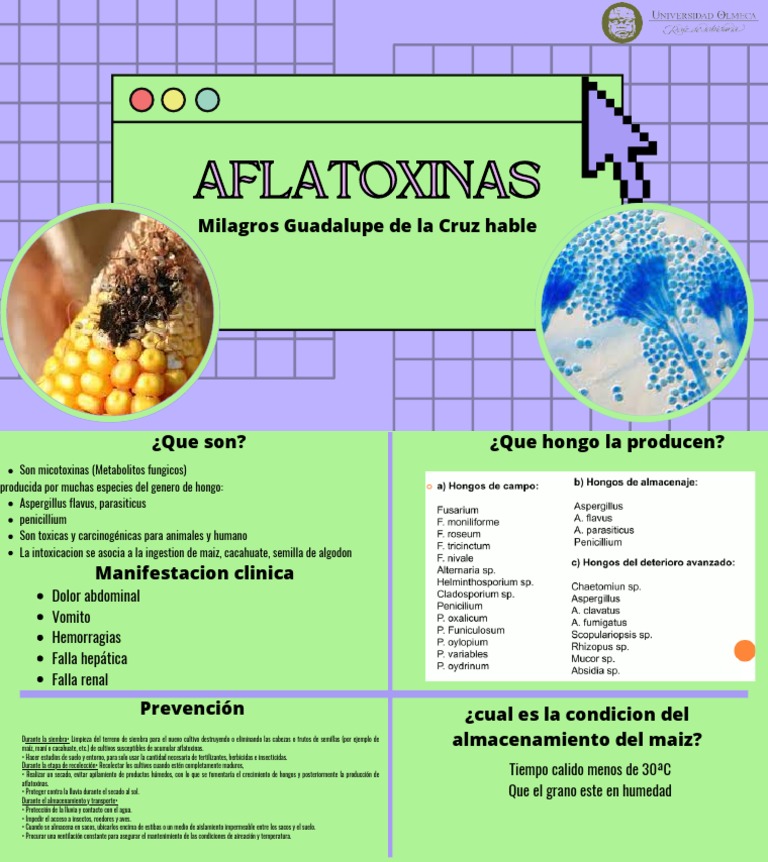 AFLATOXINAS | PDF | Miseria | Agricultura