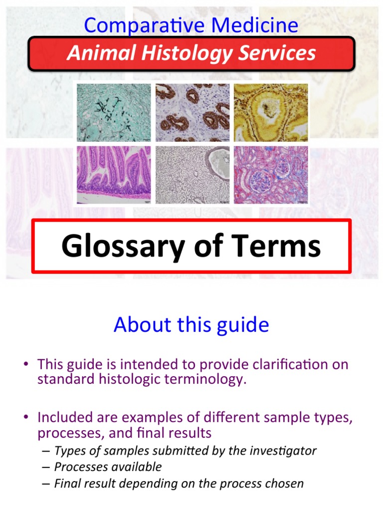 Tissue Processing and Staining | PDF | Staining | Histology