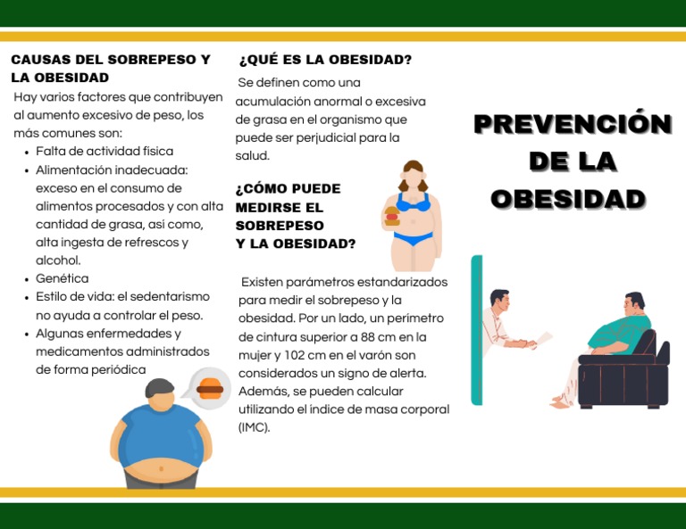 Triptico Obesidad | PDF