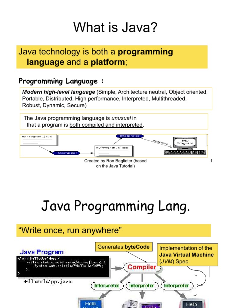 What Is Java | PDF