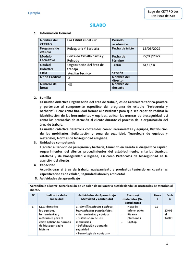 Modelo de Silabo Ud1 Peluqueria | PDF | Evaluación | Plan de estudios