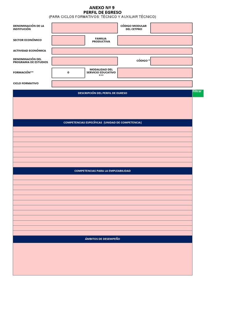Formato - PE - CETPRO - Vacío | PDF