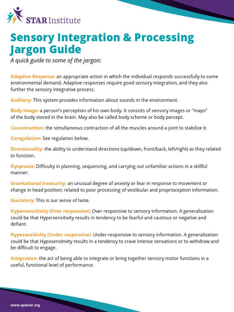 Sensory Integration Jargon Explained | PDF | Perception | Somatosensory ...