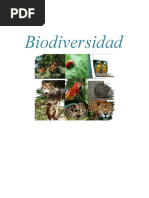 Mapa Conceptual de La Biodiversidad | PDF | Biodiversidad | Protección del medio ambiente