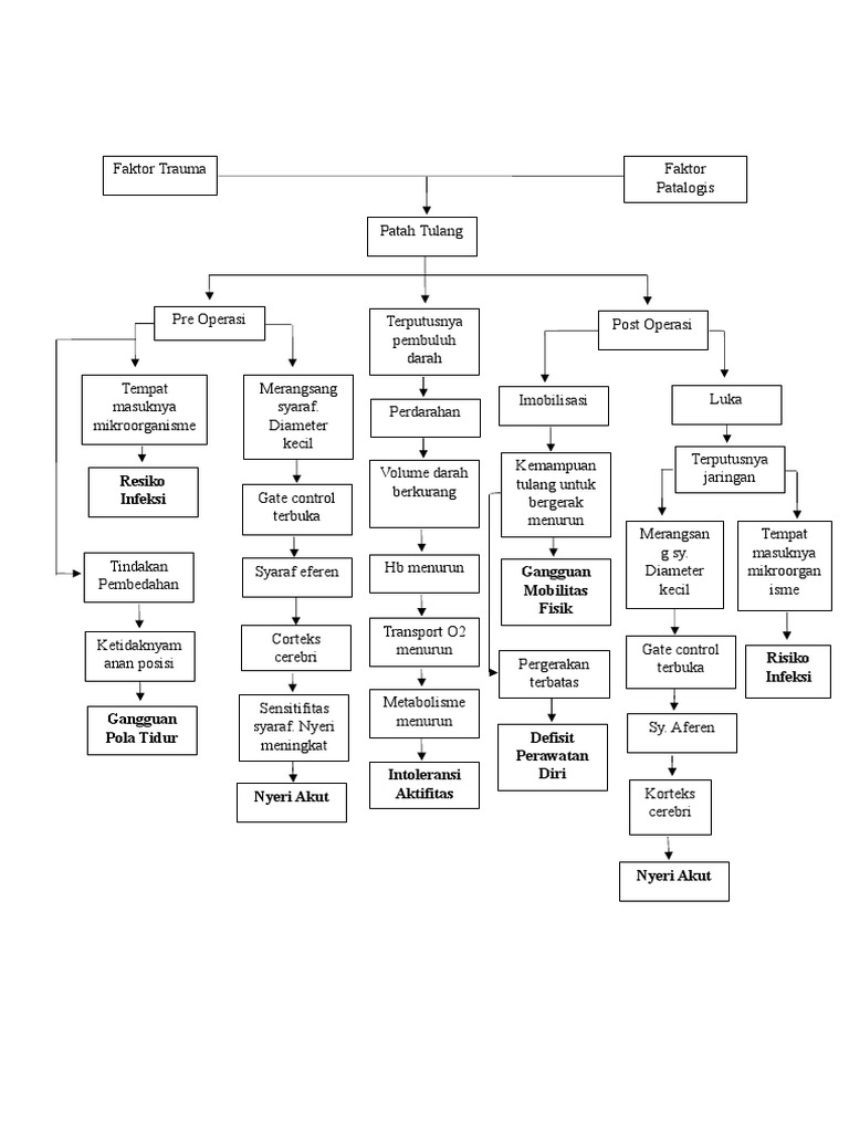 Pathway Fraktur Femur | PDF