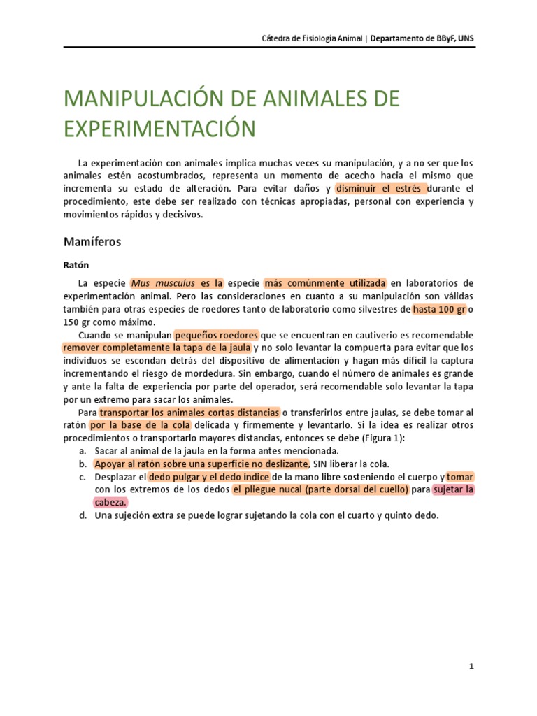 Manipulación de Animales de Experimentación | PDF | Mano | Aves