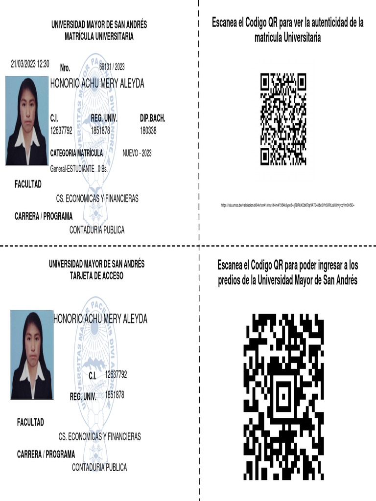 Honorio Achu Mery Aleyda: Categoria Matrícula | PDF