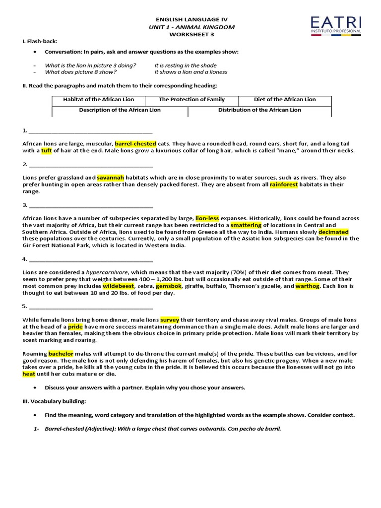 Animal Kingdom - Worksheet 3 | PDF | Lion | Organisms