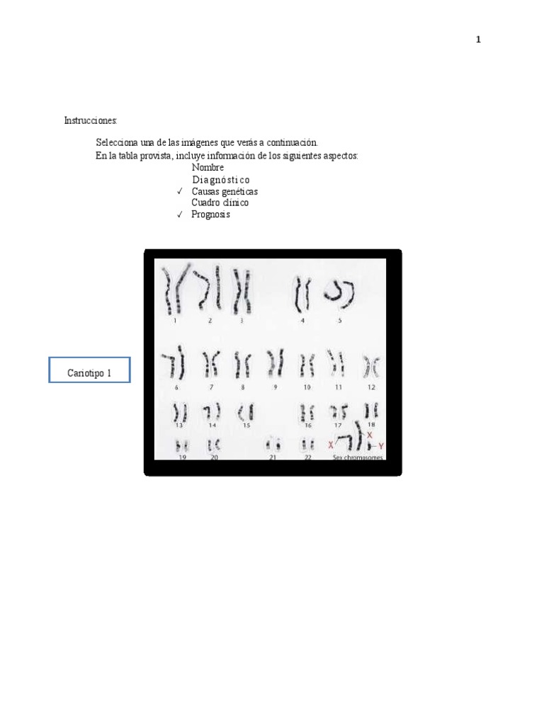 M5 Imagenes Cariotipos Tarea 5.2 | PDF