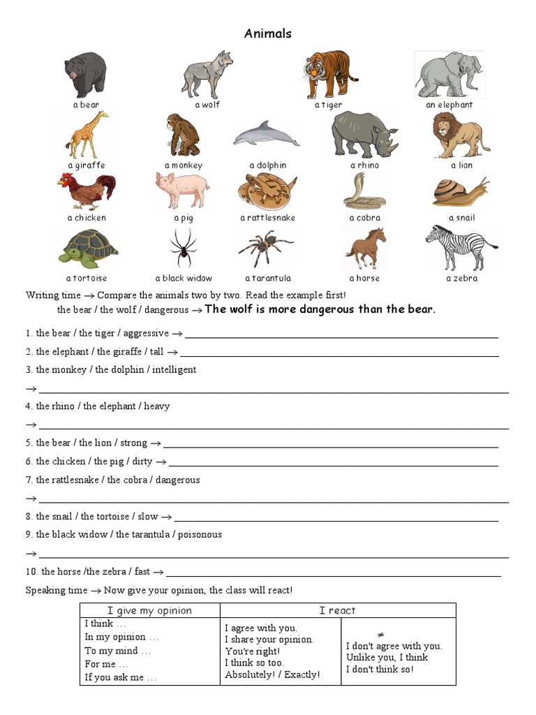 Comparing Animals Worksheet Templates Layouts - 121552 | PDF ...