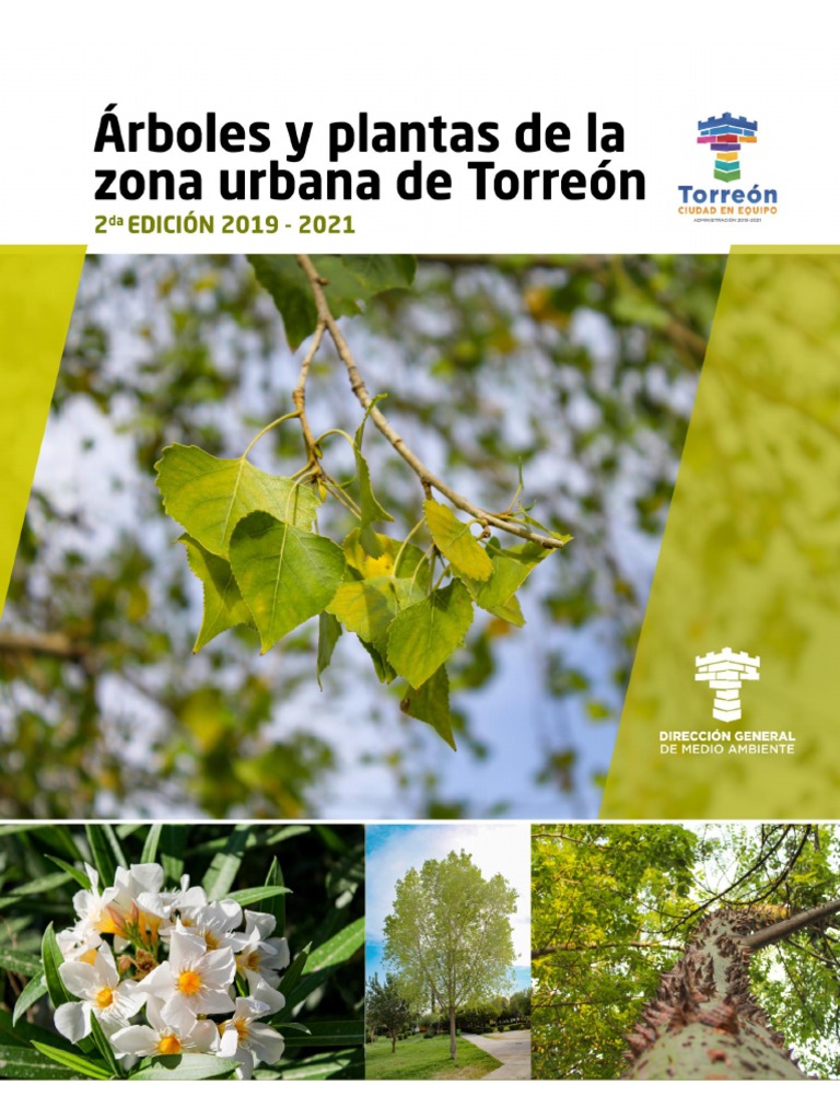Libro de Arboles 2021 | PDF | Arboles | Tallo de la planta