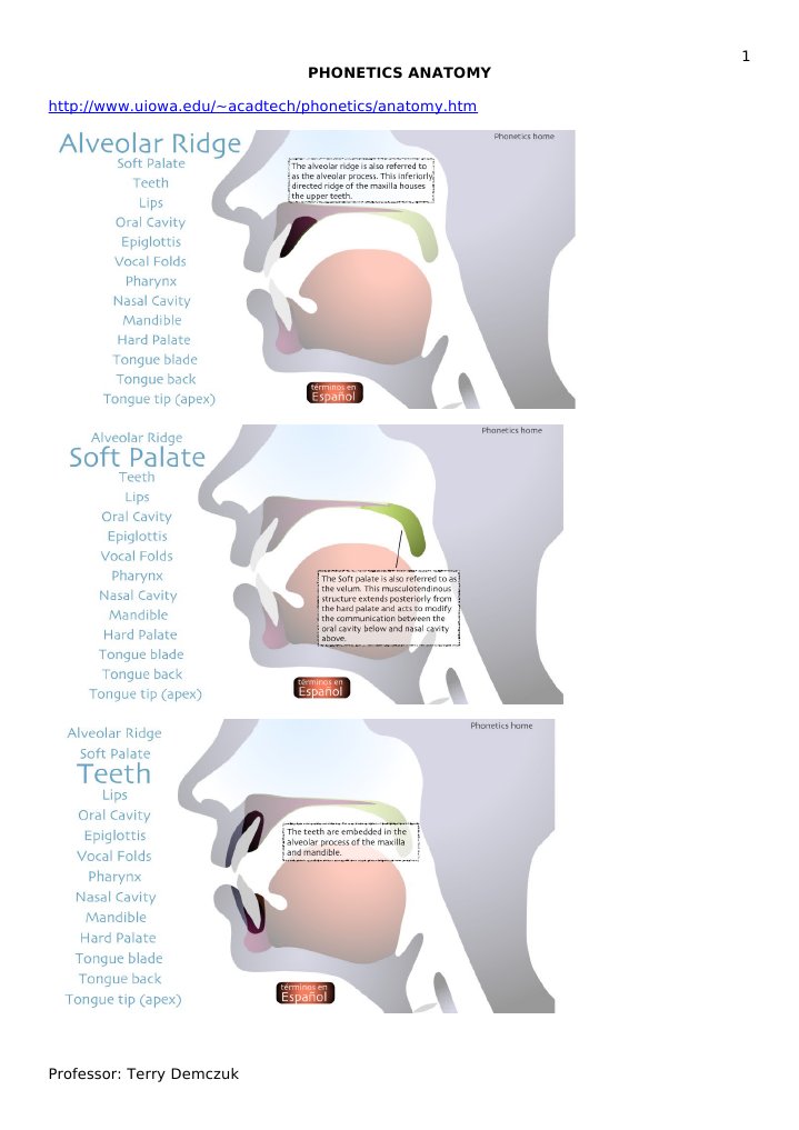 Phonetics Anatomy Overview | PDF | Language Arts & Discipline | Foreign ...